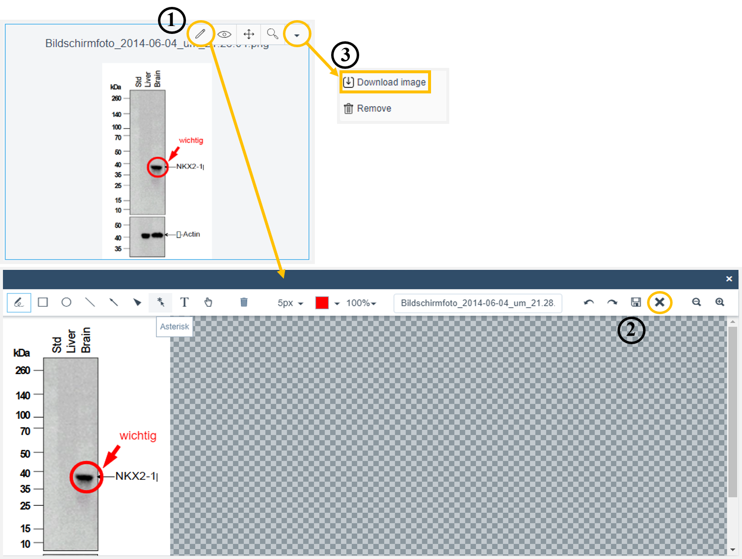 How To Clear The Image Of Annotations Labfolder